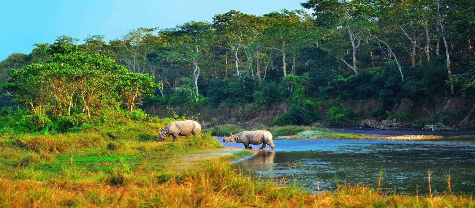 Chitwan Jungle Safari Tour - 2 Night 3 days Chitwan Tour